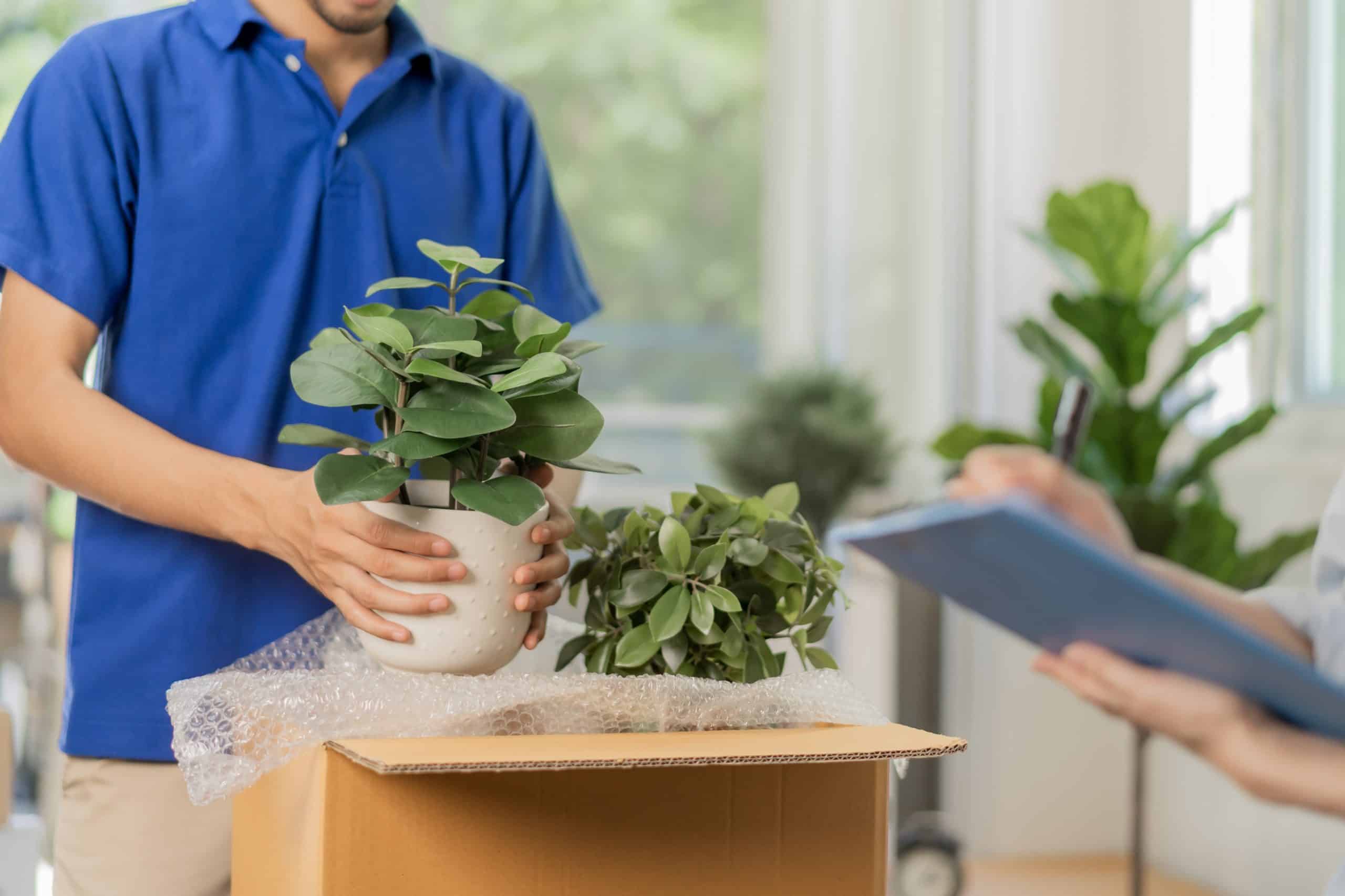 Moving house with your plants - Headington Carriers